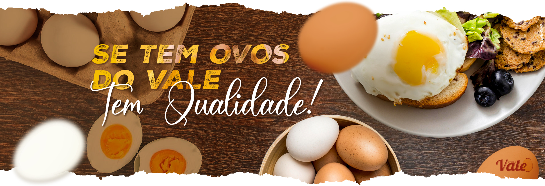 Granja | Ovos do Vale – Ovos de Granja – Ovos Brancos e Ovos Vermelhos